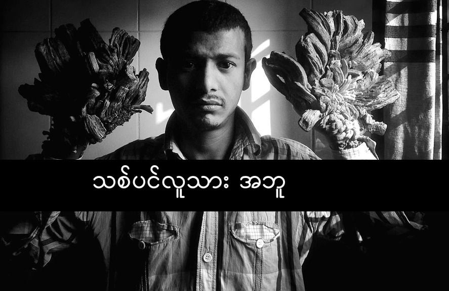 သစ်ပင်လူသား – Myanmar Scientist