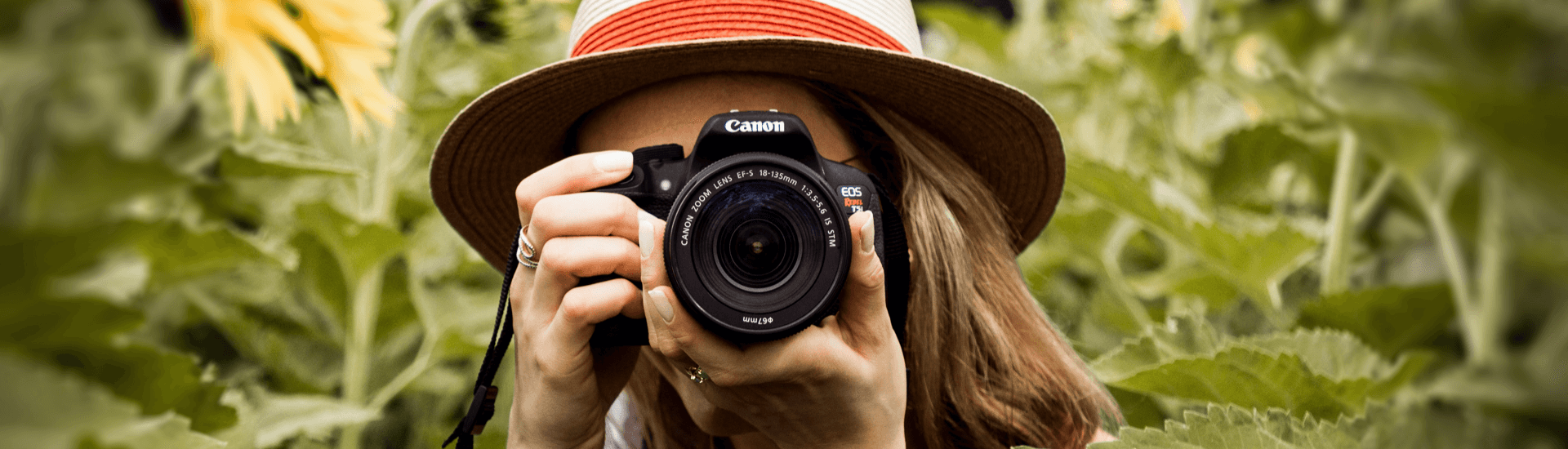 4.png – Myanmar Scientist